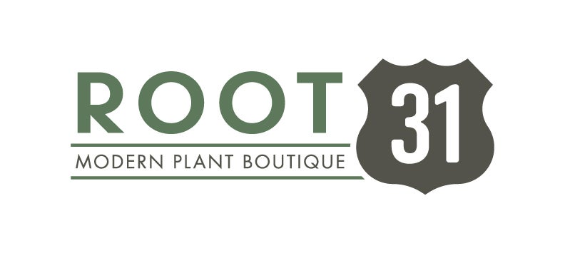 Shop | Root 31